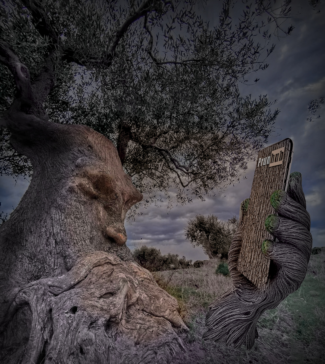 Blursed_Tree : r/blursedimages