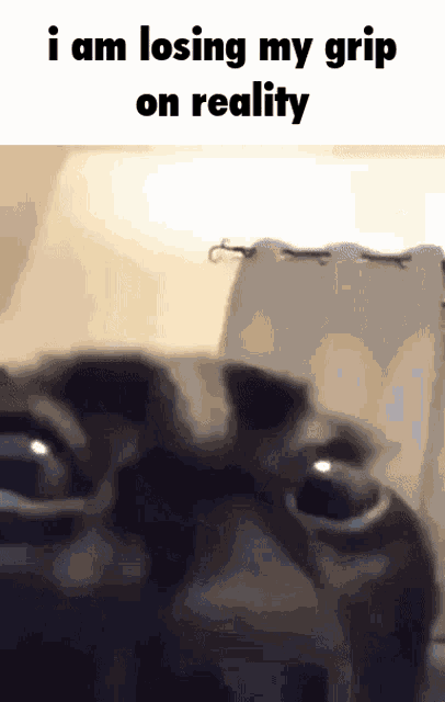 just out of curiosity, what if you type `season fall` in the console on ...