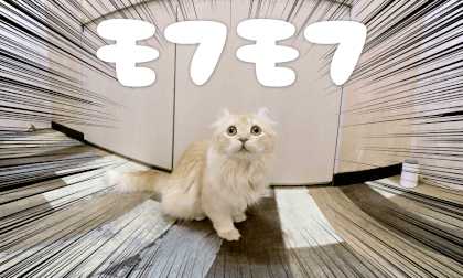 mew :3 - Stardust XR