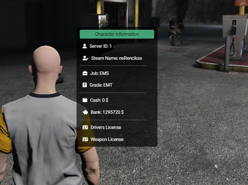 Script - PLAYER STATS MENU V5 | VAG - Premium FiveM scripts, FiveM mods, and FiveM leaks