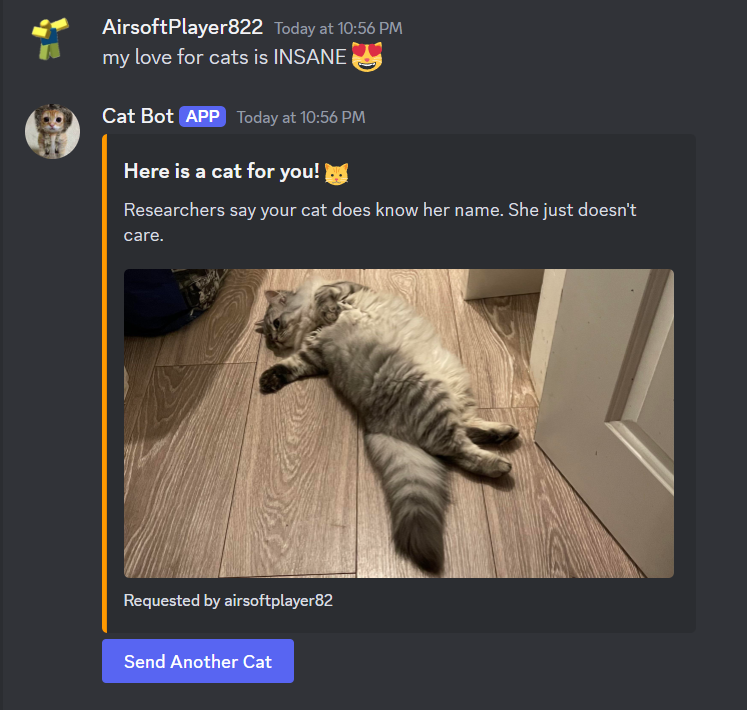 Cat Bot | Discord App Directory