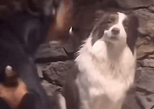 @BattlingNebula - Hyderabad Gaming Freaks!🎮🇮🇳